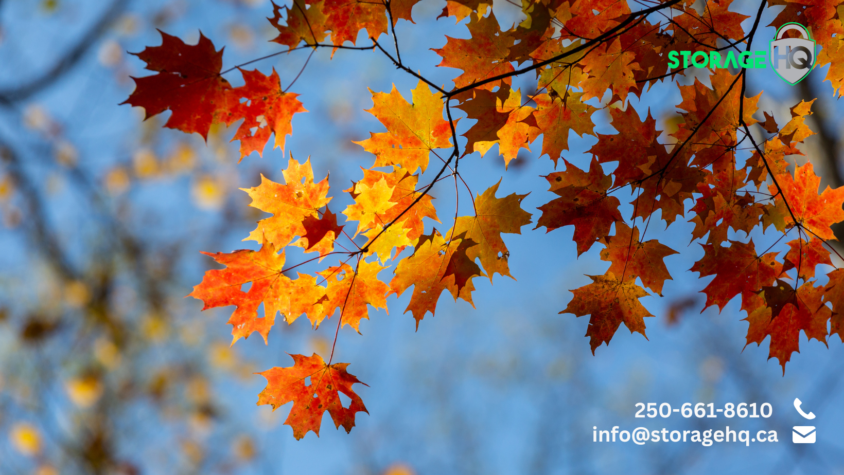 Fall Decluttering in the Cowichan Valley: How Self Storage Can Help ...